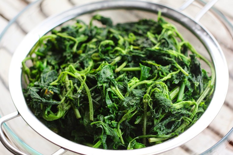 Foraging Nettles | Eat & Edit